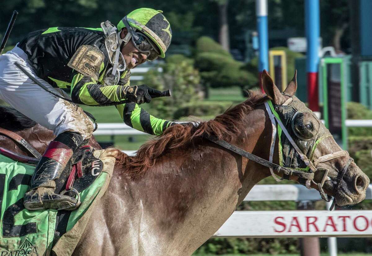 Pavel taking big step by taking on Jim Dandy at Saratoga
