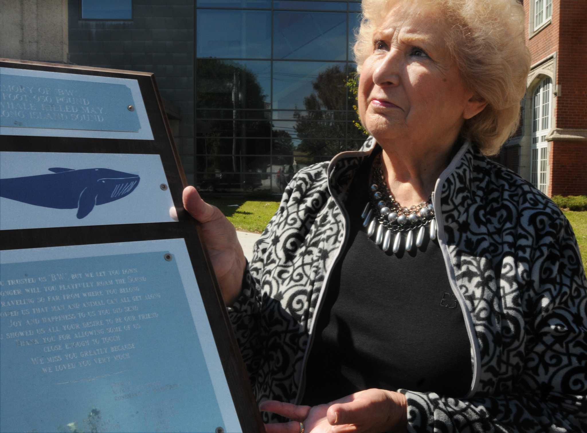 Mysterious slaying of whale in Long Island Sound still stings 25 years ...