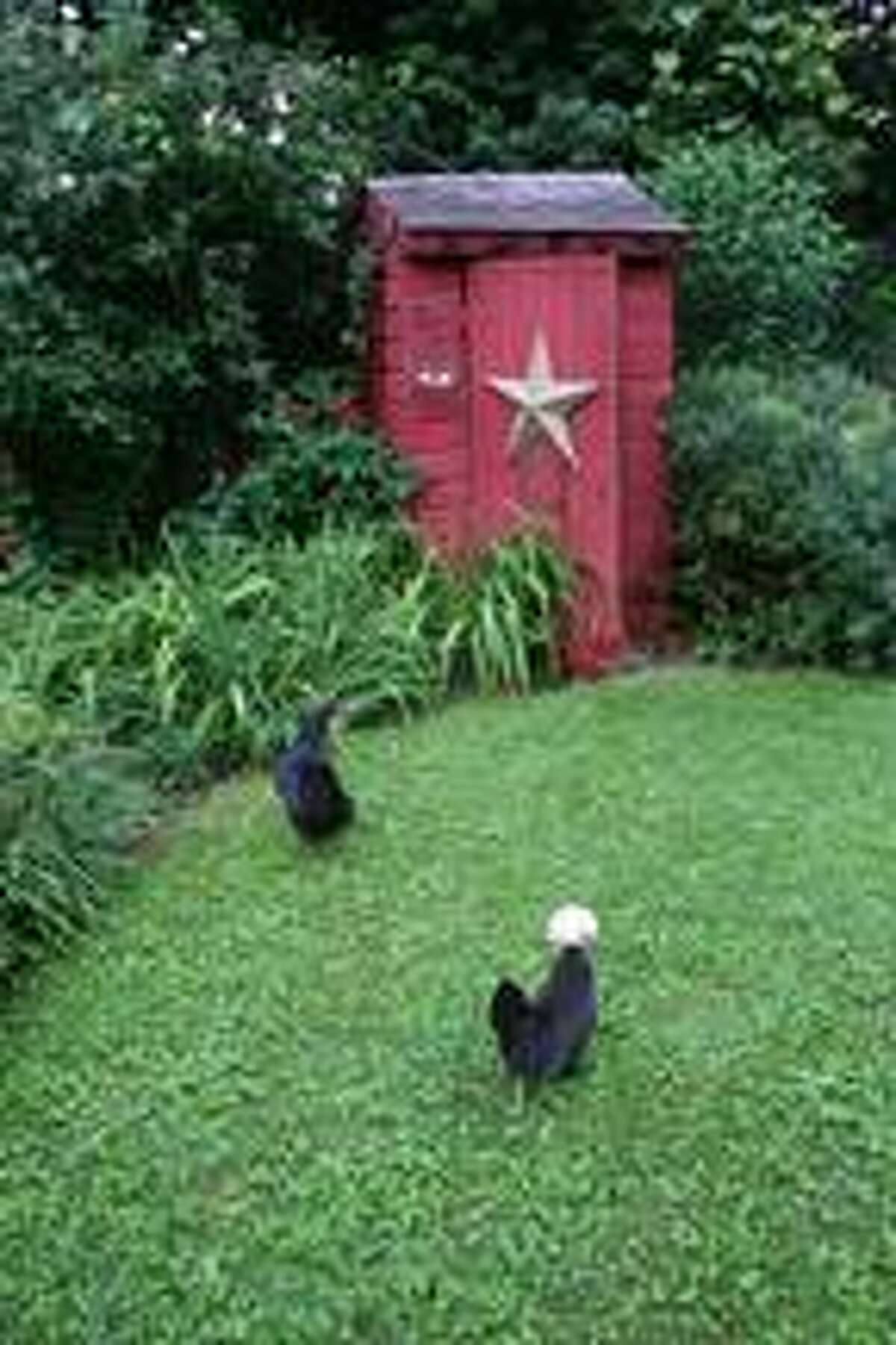 BEACH: Why such love for outhouses? No. 1: They're historic. No. 2 ...