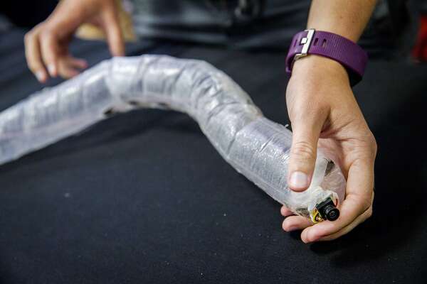 New robot grows like vine to reach tight spaces - SFChronicle.com