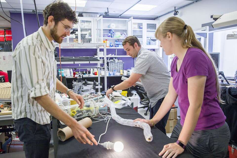 New robot grows like vine to reach tight spaces