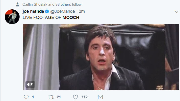 Mooch memes pour in as Anthony Scaramucci removed as White House ...