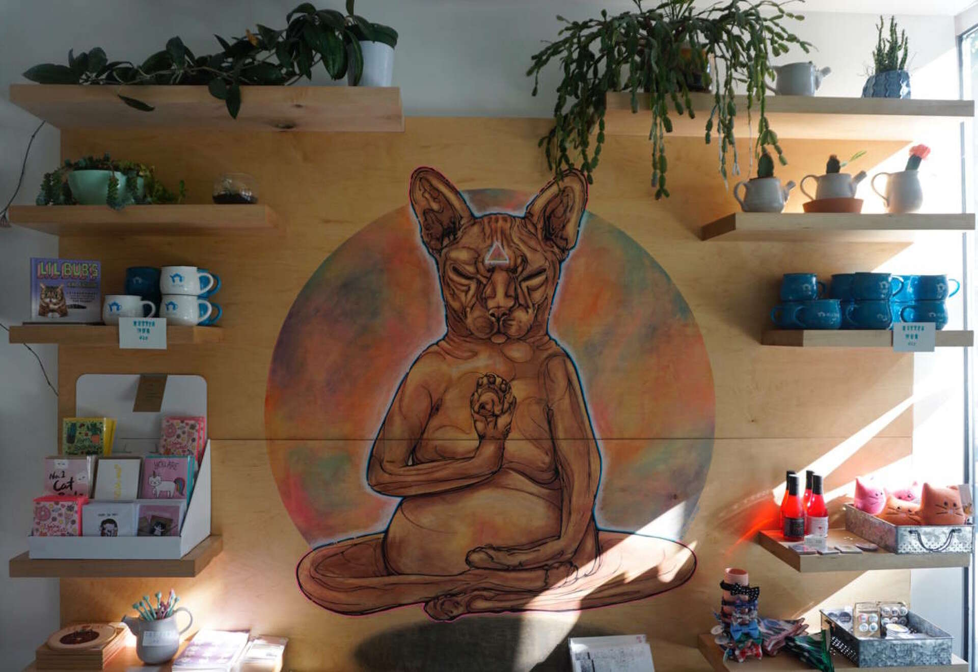 At this yoga class in S.F., 'cat pose' involves real felines