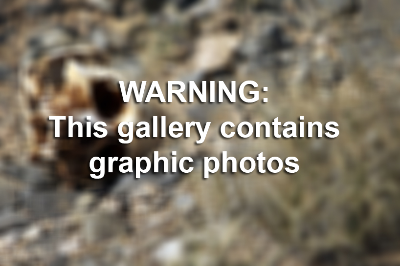 Photos capture the brutal violence of towns near the Texas-Mexico border