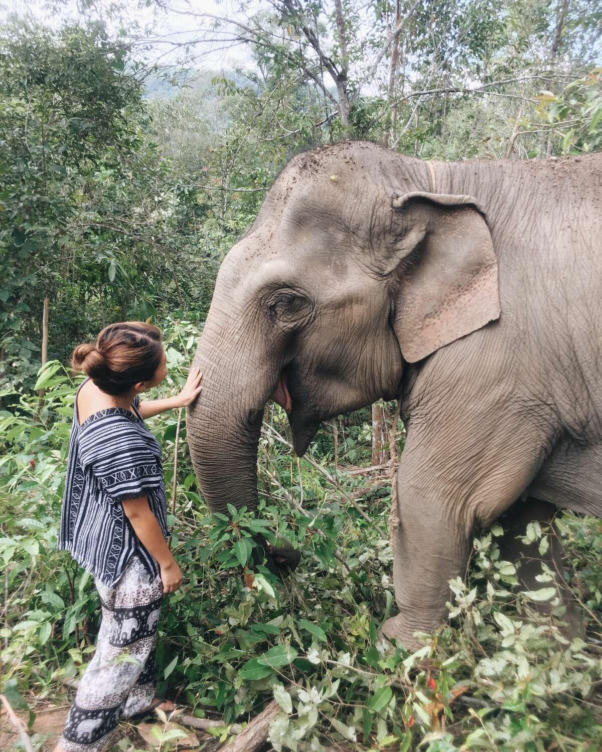 'Cup of TJ': San Francisco woman ditches 9-to-5 to become 'digital nomad'