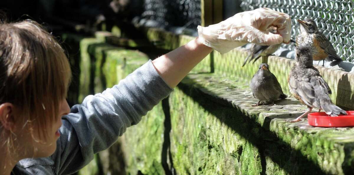 PHOTOS: Torgerson Mom and Twin Daughters Work on Wildlife Certification ...