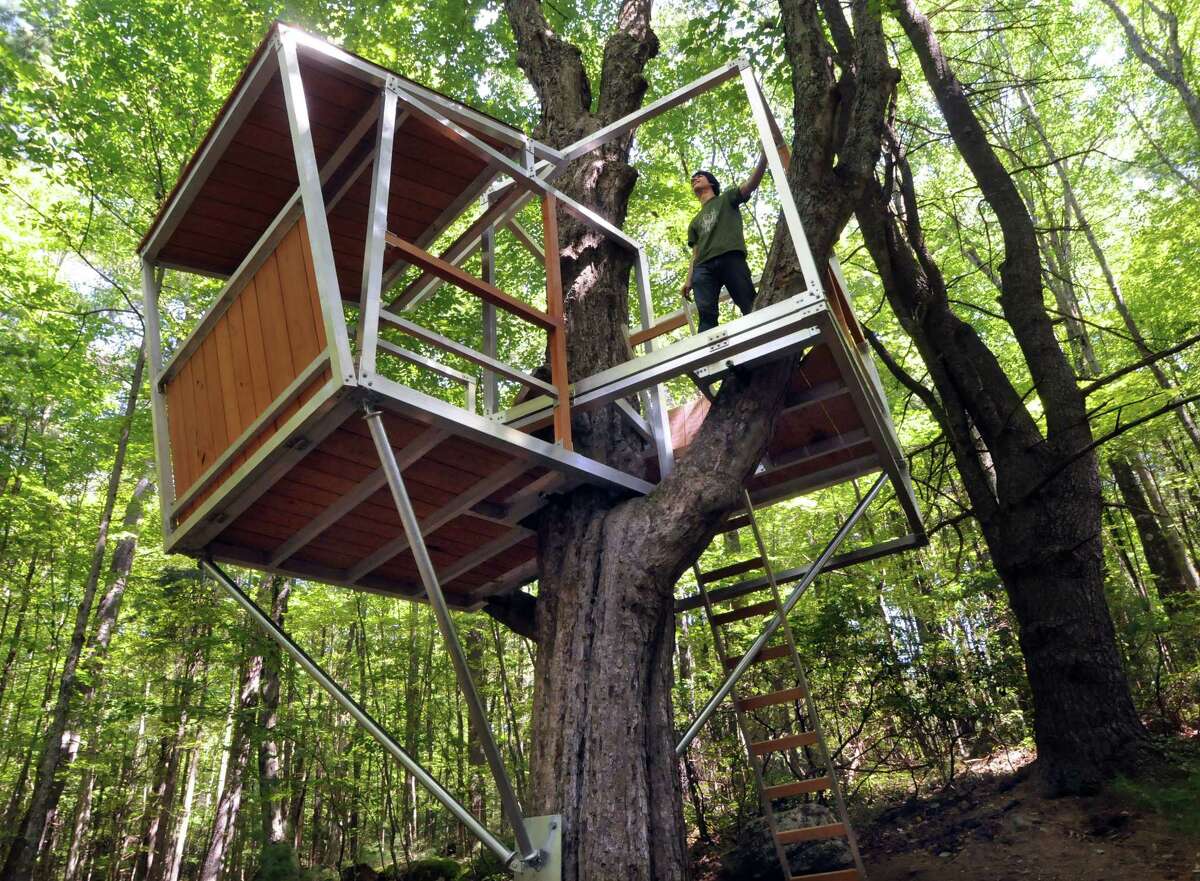PHOTOS: Yale Myers Forest Treehouse Completed