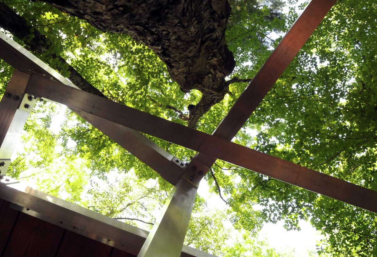 PHOTOS: Yale Myers Forest Treehouse Completed