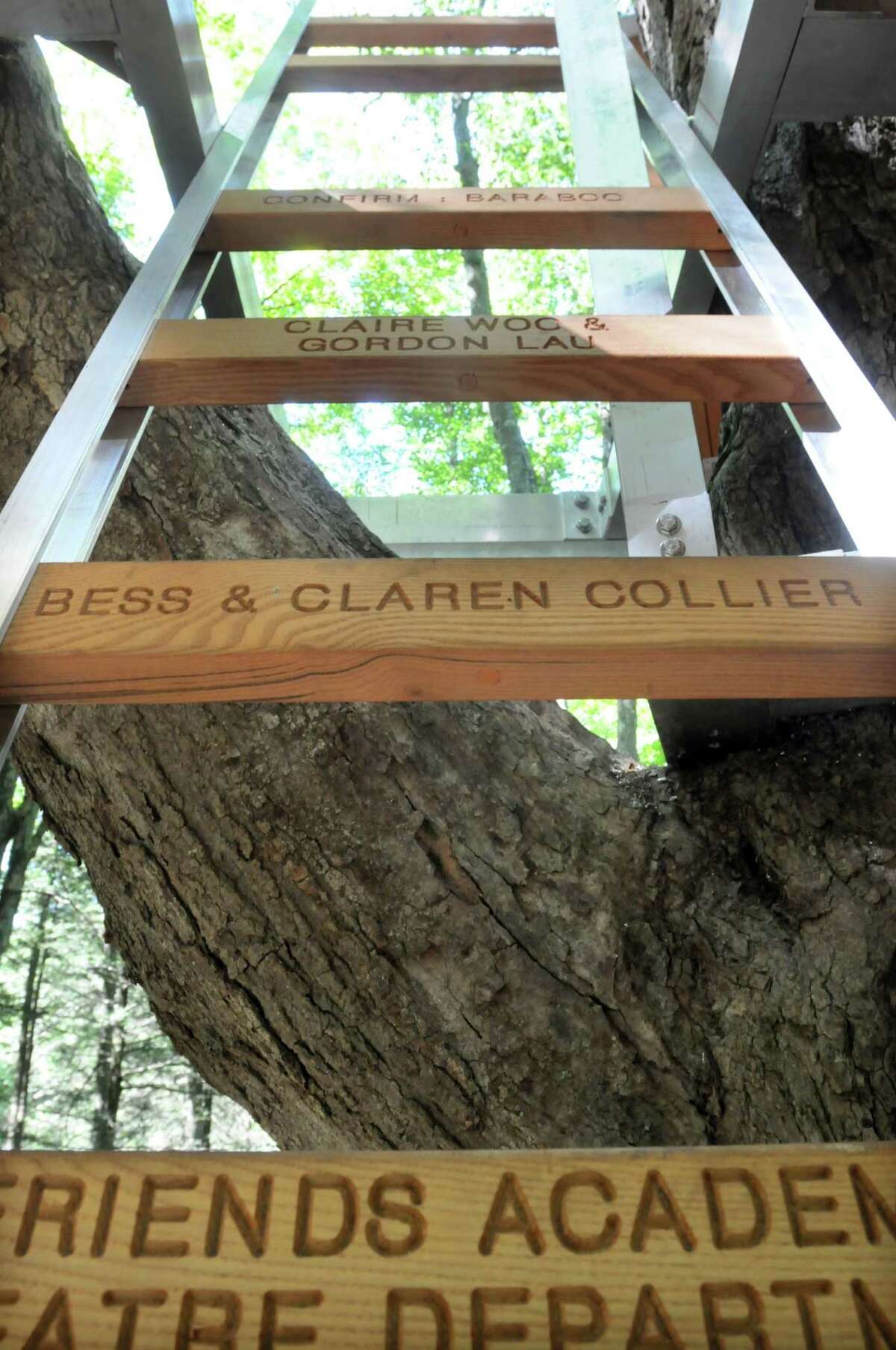 PHOTOS: Yale Myers Forest Treehouse Completed