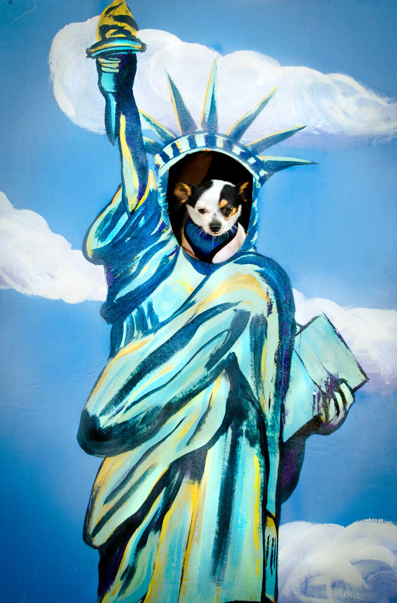 Photos: Woofstock in Branford Benefits Dan Cosgrove Animal Shelter