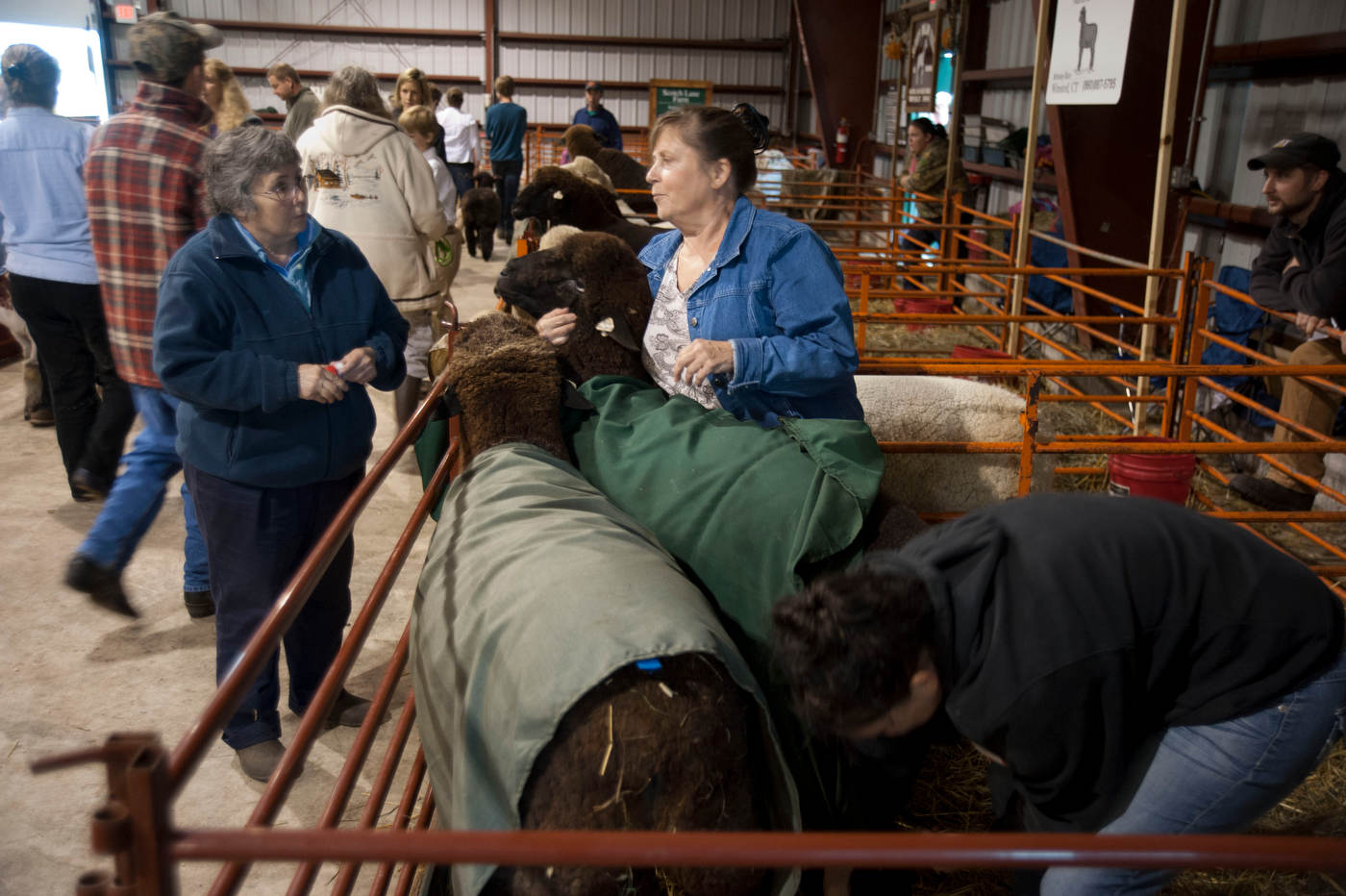 Photos: The Durham Fair