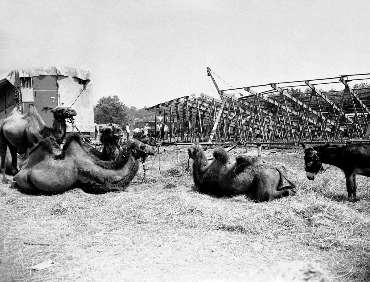 Portland man recalls escape from Hartford Circus Fire in 1944