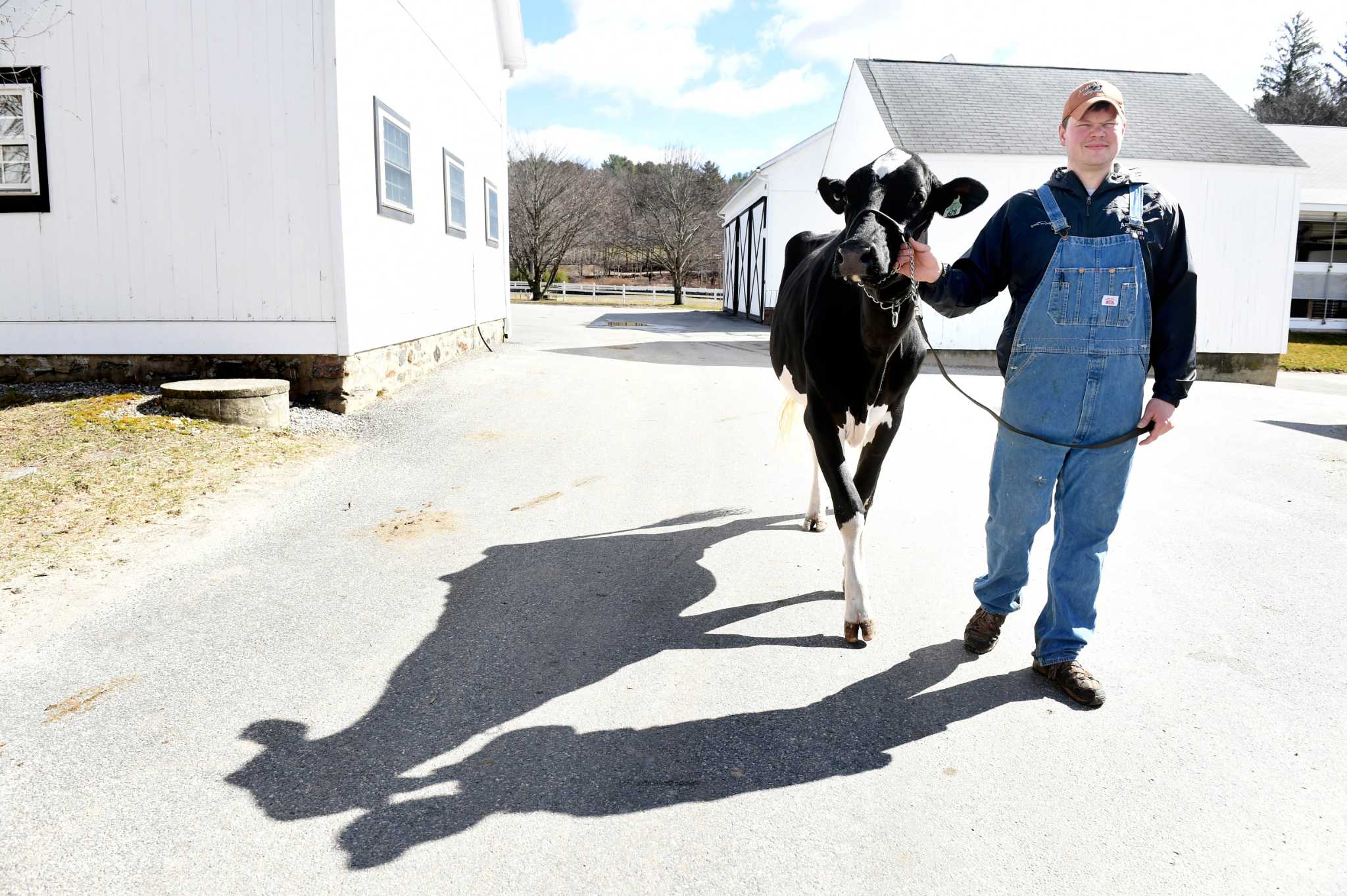 Dairy farms in Connecticut