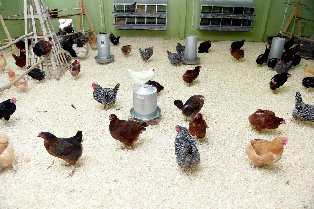 Award-winning Arethusa Farm Dairy in Litchfield opens first stand-alone ...