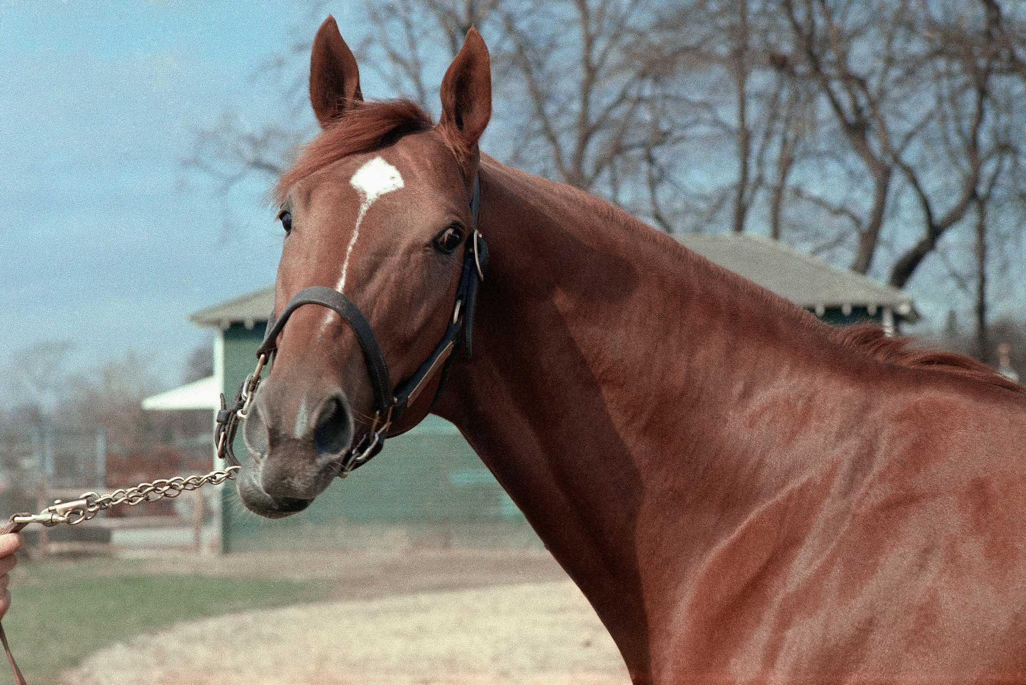 Photos: On this day — June 9, 1973 — Secretariat claims Triple Crown