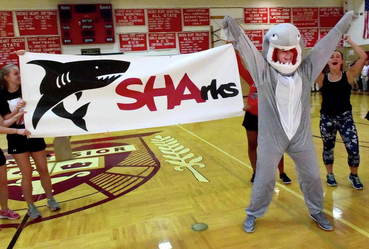 PHOTOS: The New Shark Mascot at Sacred Heart Academy