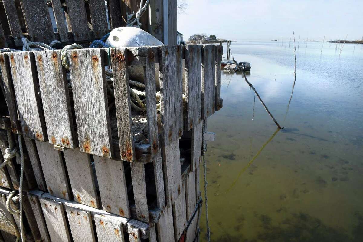 Photos of Branford Lobsterman D.J. King