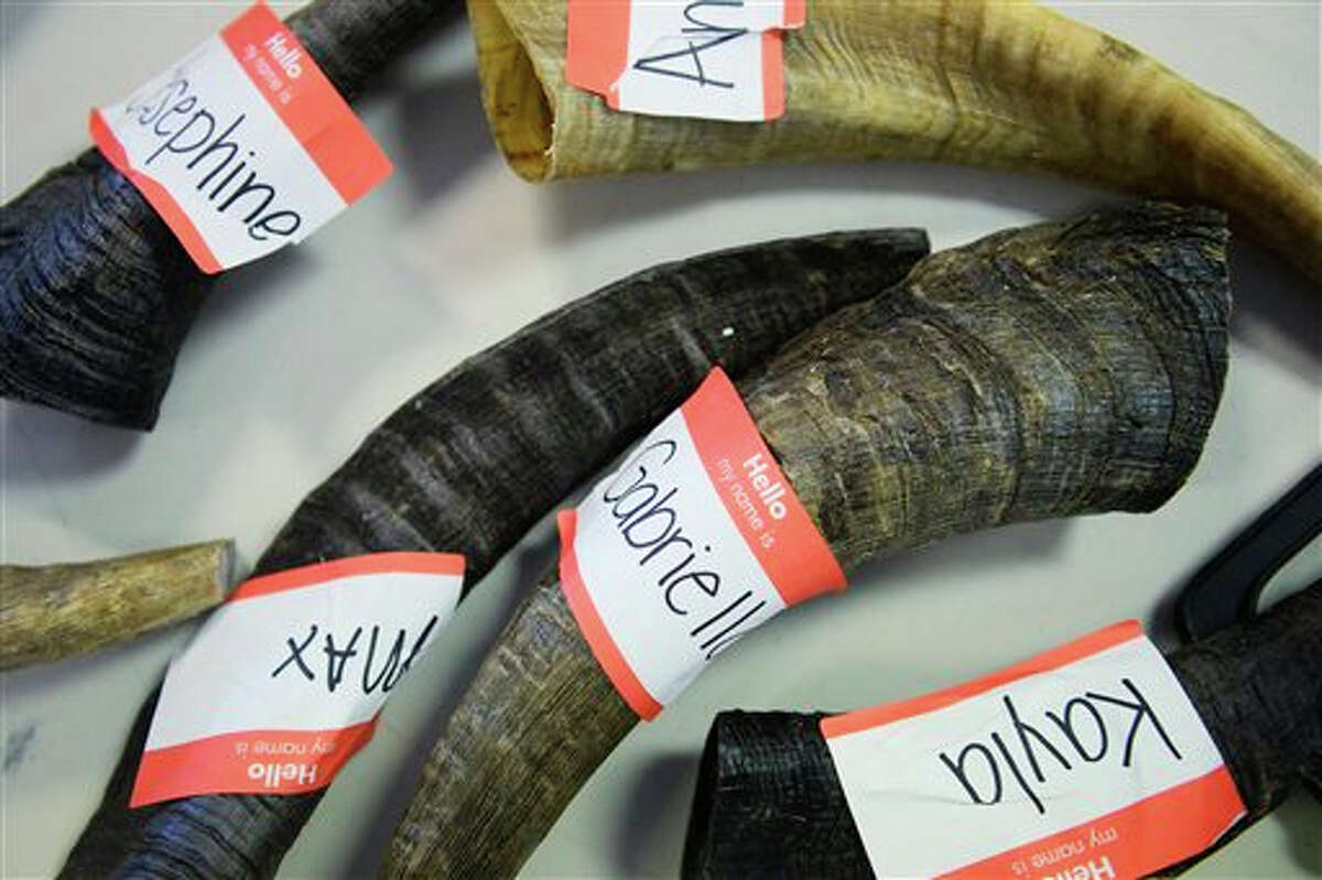 Rosh Hashanah begins at sundown Wednesday