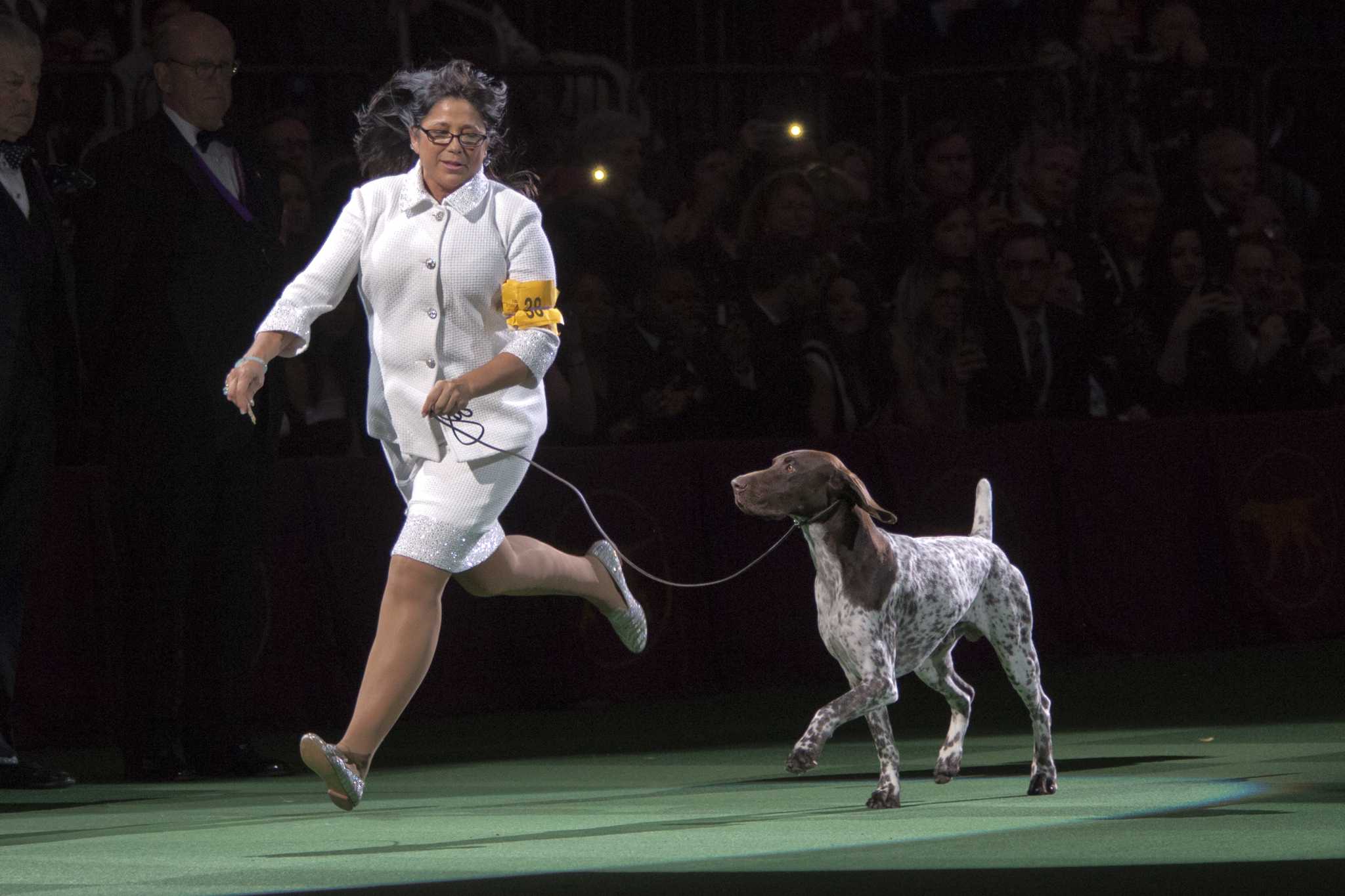 Photos: 140th Westminster Kennel Club dog show