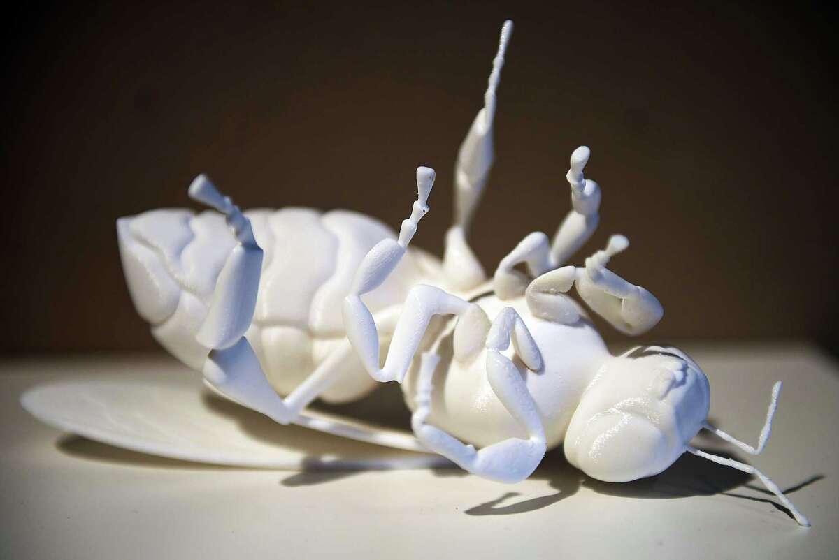 PHOTOS: Colony Collapse, an exhibit by Joseph Smolinski at Green Street ...