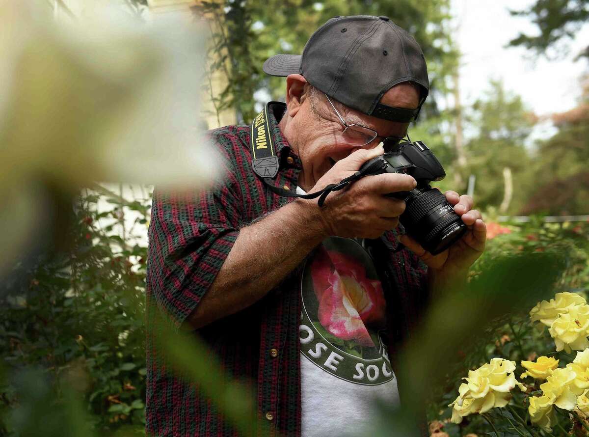 PHOTOS of Champion Rose Grower John Mattia