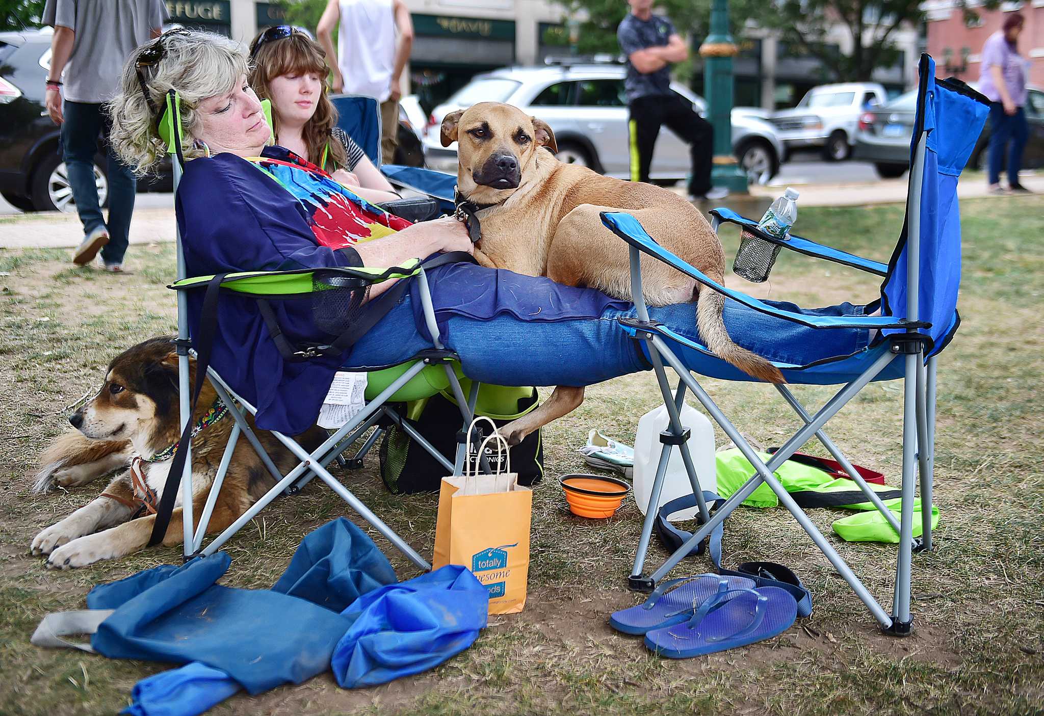 PHOTOS: Woofstock on the Branford Green