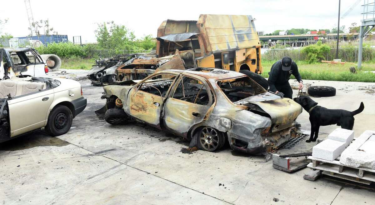 Photos of Accelerant Detection Canine Training at the New Haven ...