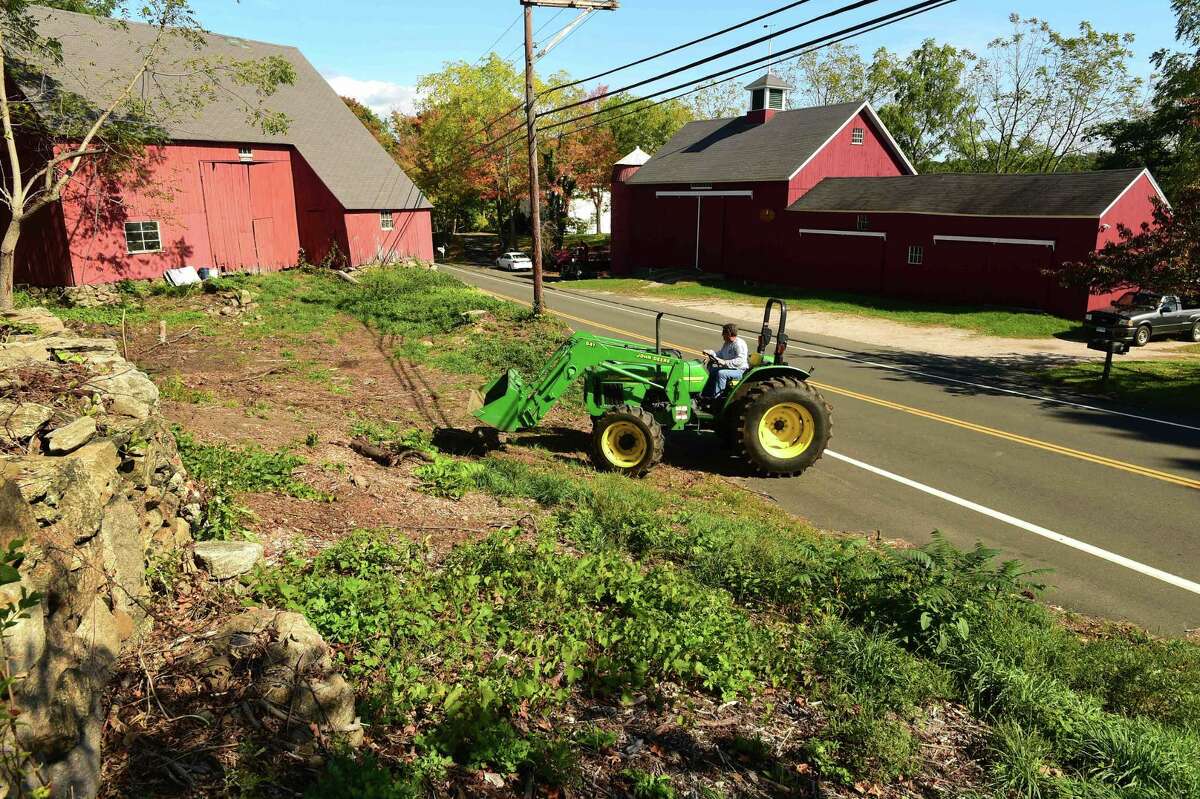 PHOTOS: Salt Marsh Farm Beef Cattle on Leete's Island