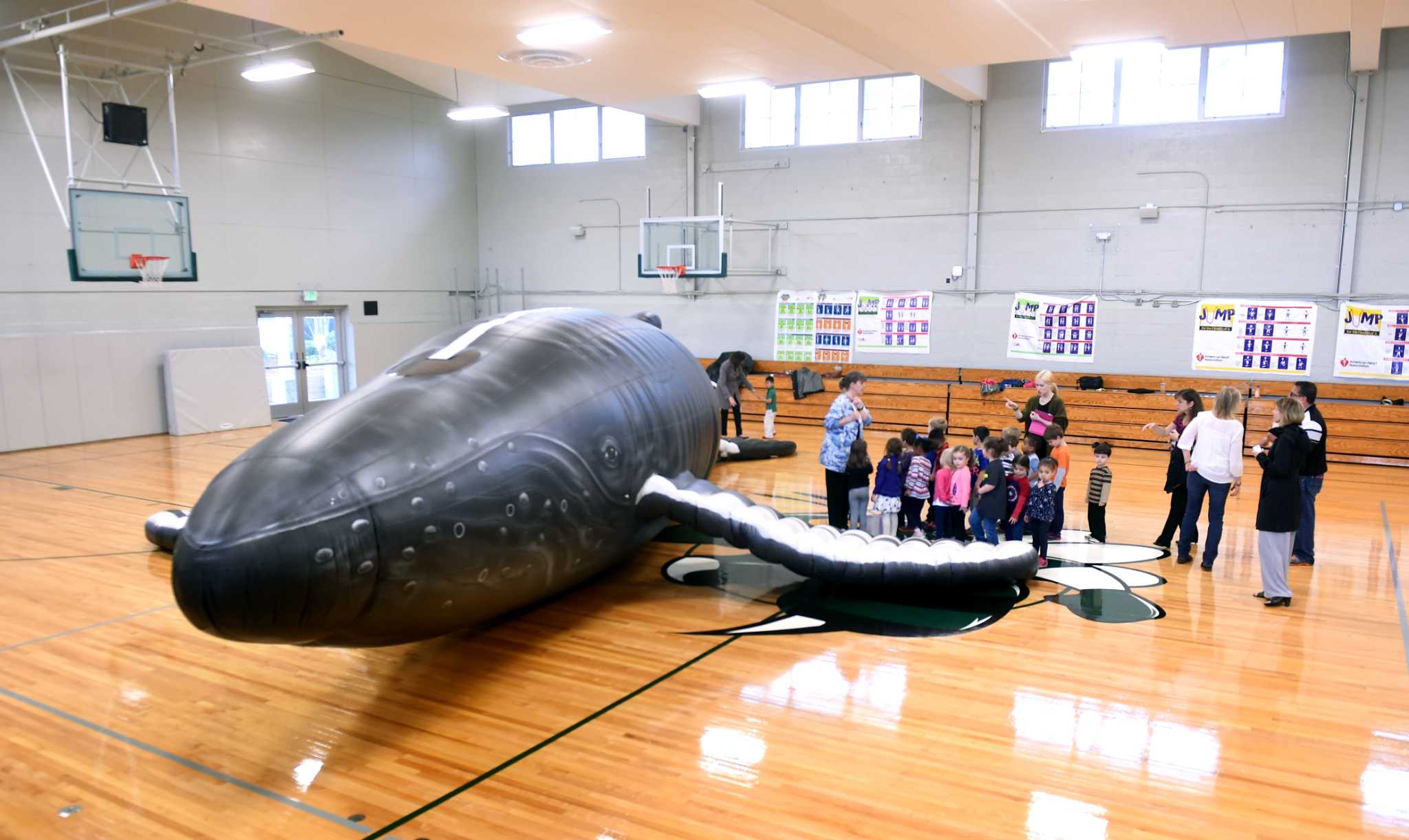 Photos of the Whalemobile Humpback Whale at Hamden Hall Country Day School