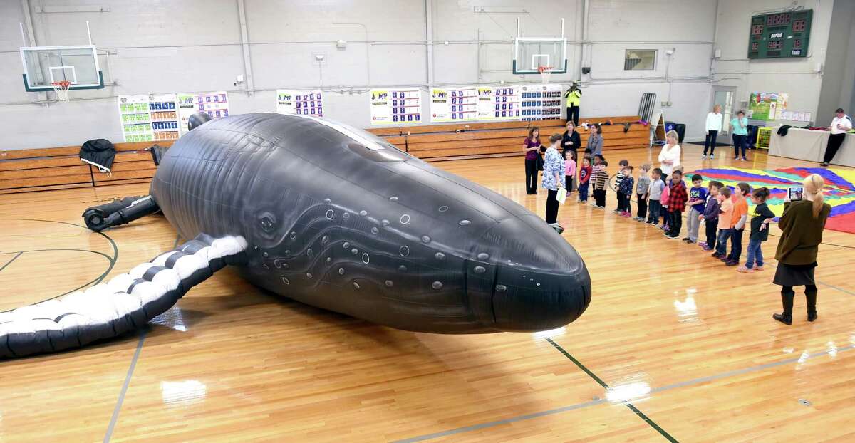 Photos of the Whalemobile Humpback Whale at Hamden Hall Country Day School