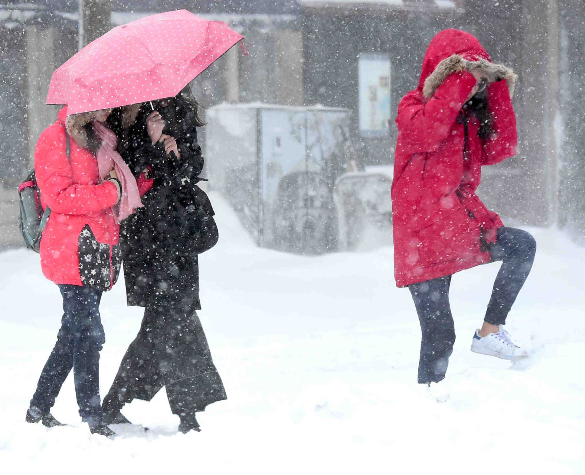 Photos: Snowstorm scenes from across Connecticut, Northeast