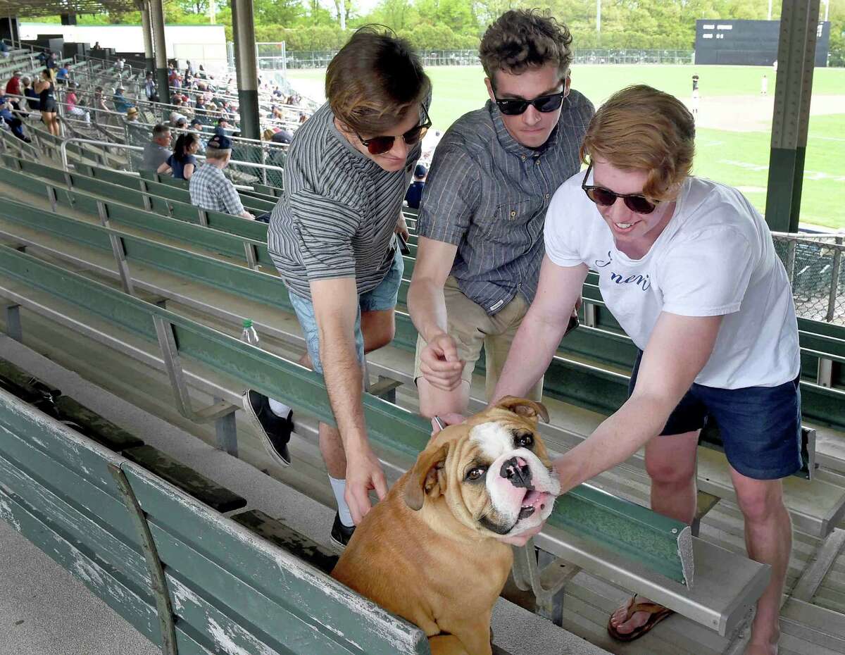PHOTOS: New Caretaker for Yale Bulldog Mascot "Handsome Dan"