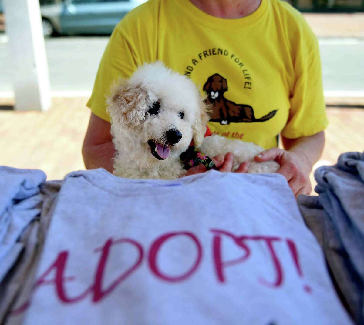 PHOTOS of PET ADOPTION New Haven Animal Shelter