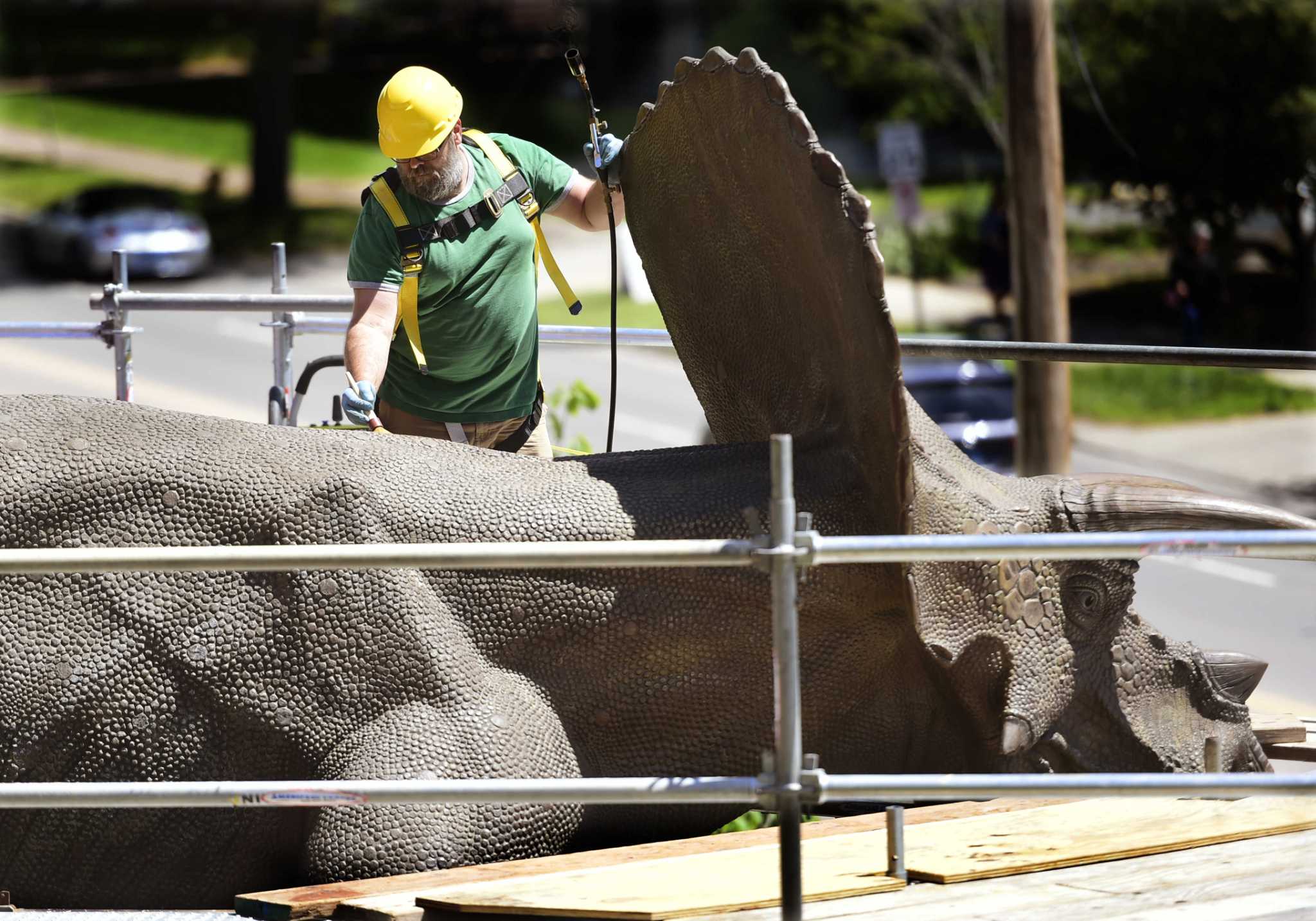 170608_ph_Dinosaur Cleaning at Yale Peabody Museum