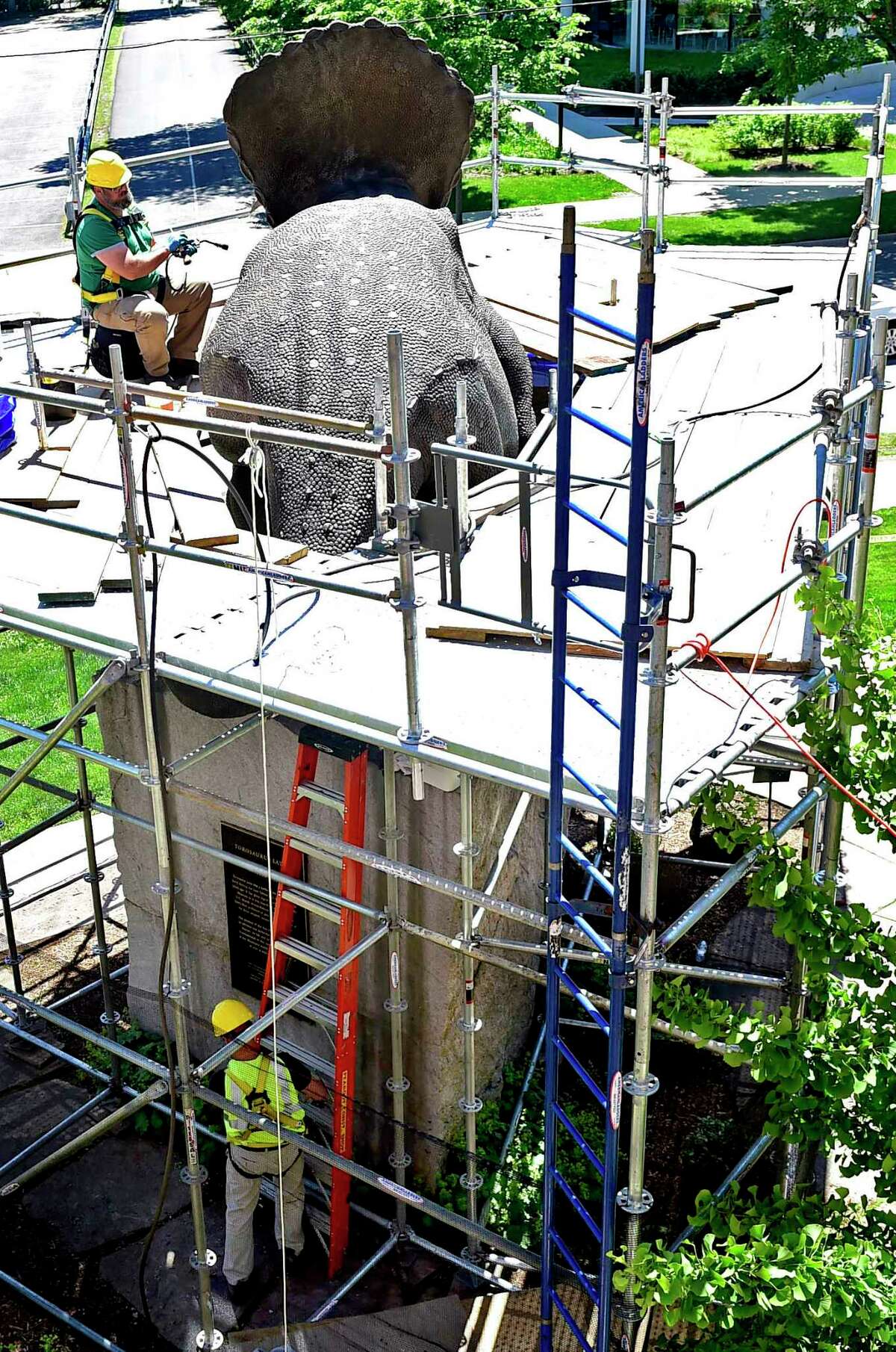 PHOTOS of Dinosaur Cleaning at Yale Peabody Museum