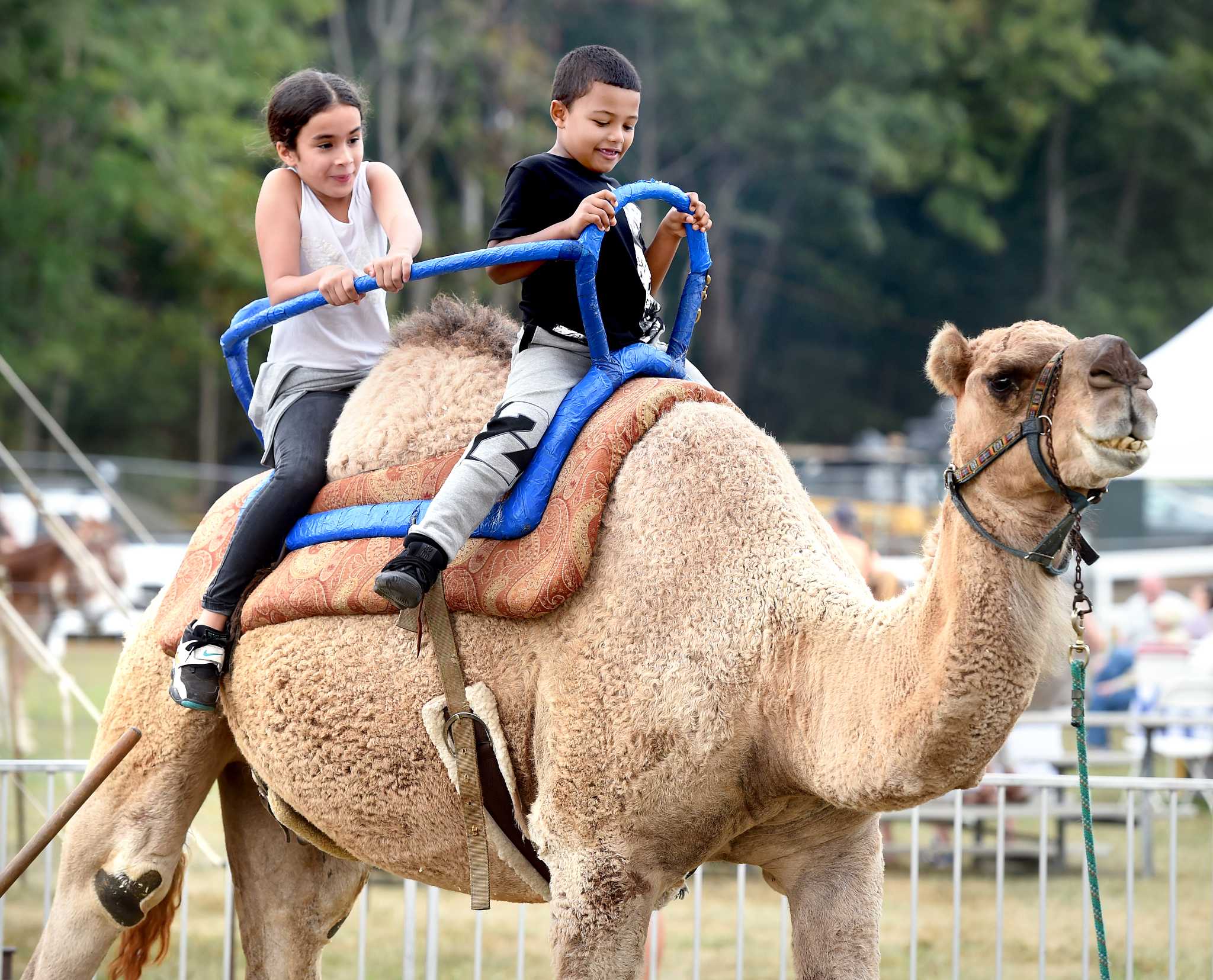 Photos of the Guilford Fair 2016