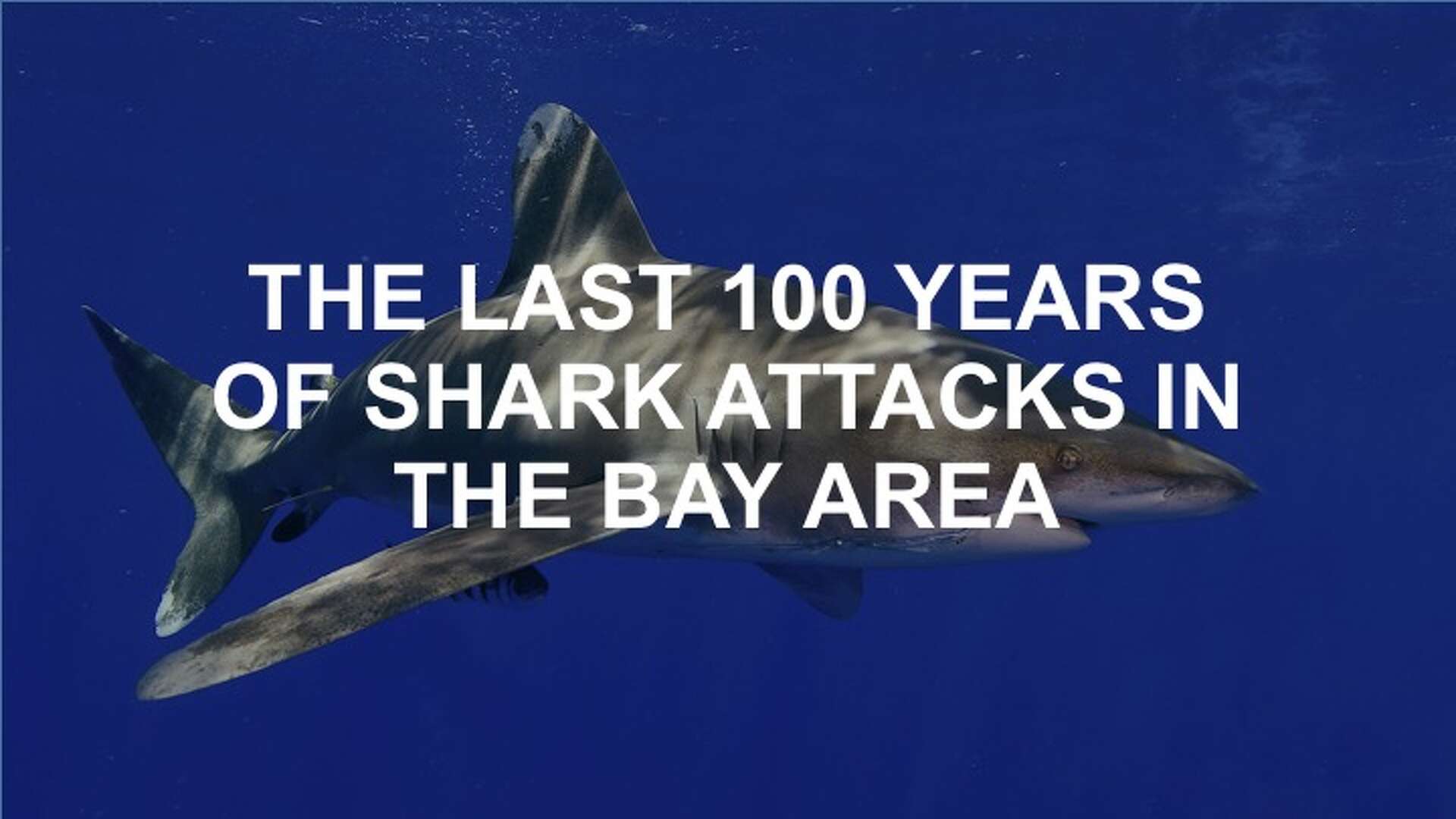 The last 100 years of shark attacks in the Bay Area mapped