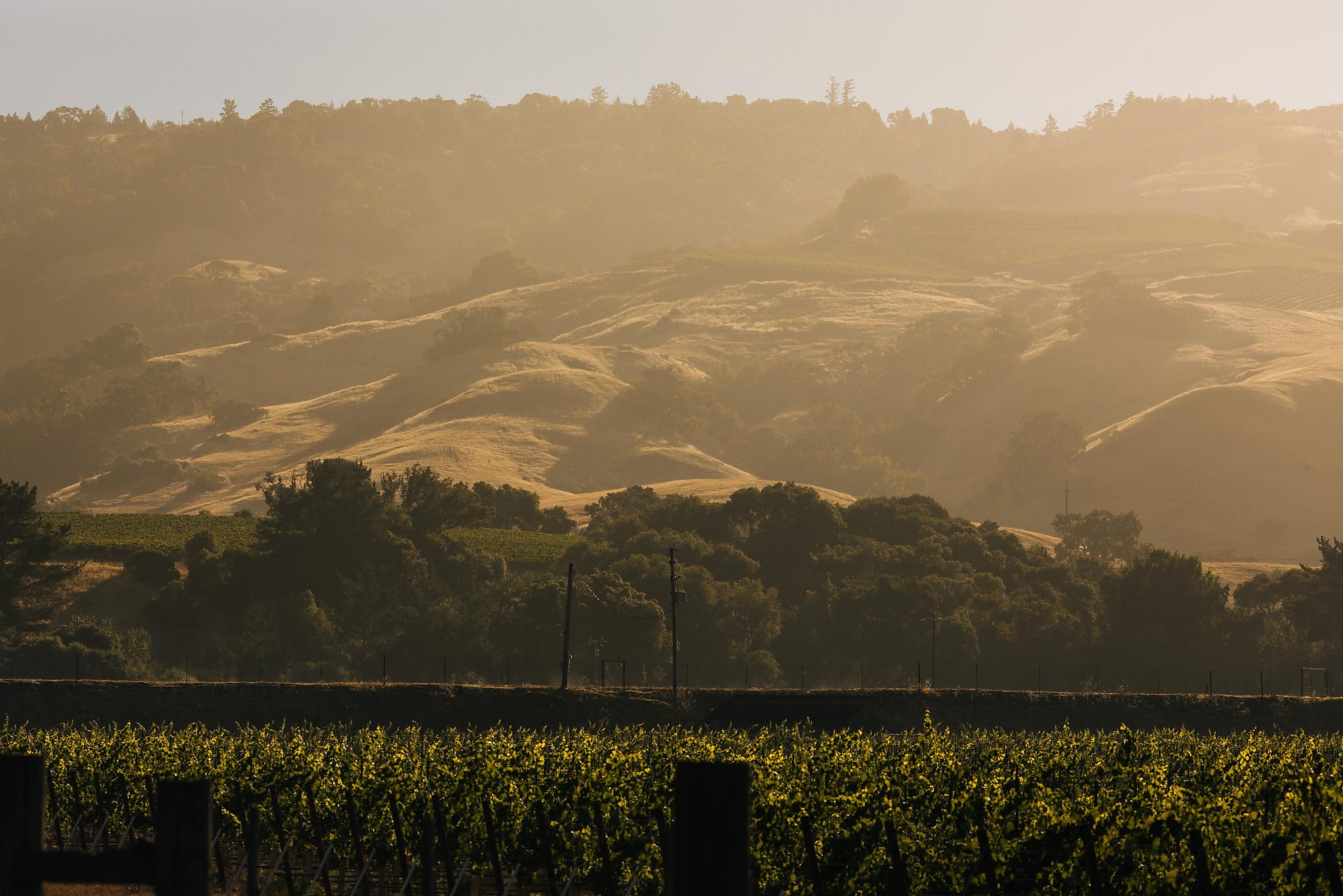 Uncork a perfect weekend in Anderson Valley