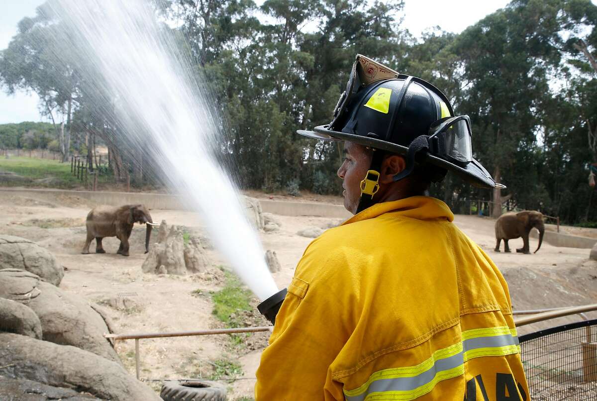 Amid heat wave, Oakland Zoo calls on firefighters to hose down elephants