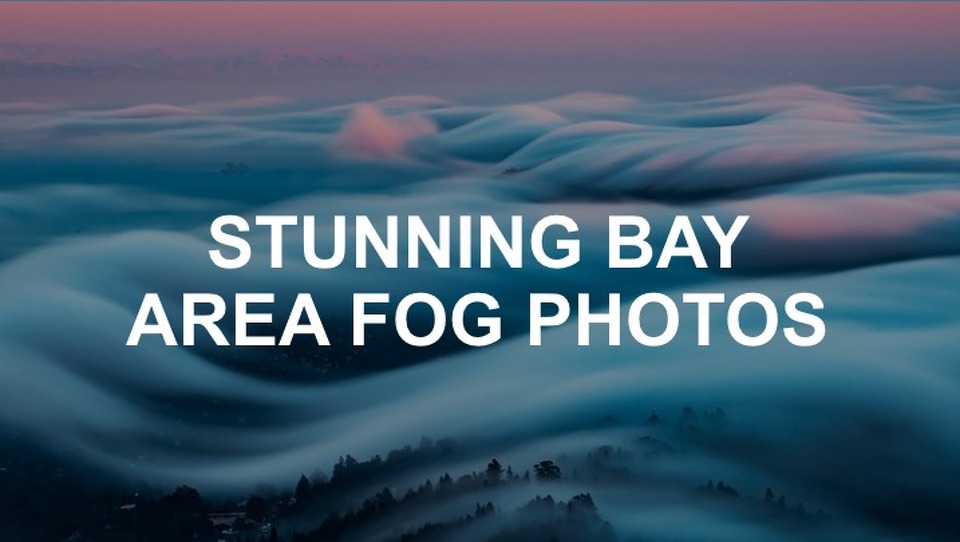What's a fogbow and why did one appear over the bay yesterday?