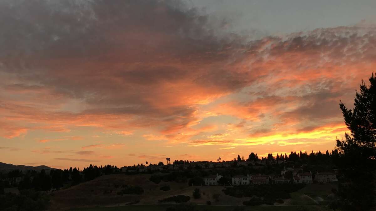 Why does the Bay Area feel like Hawaii right now?