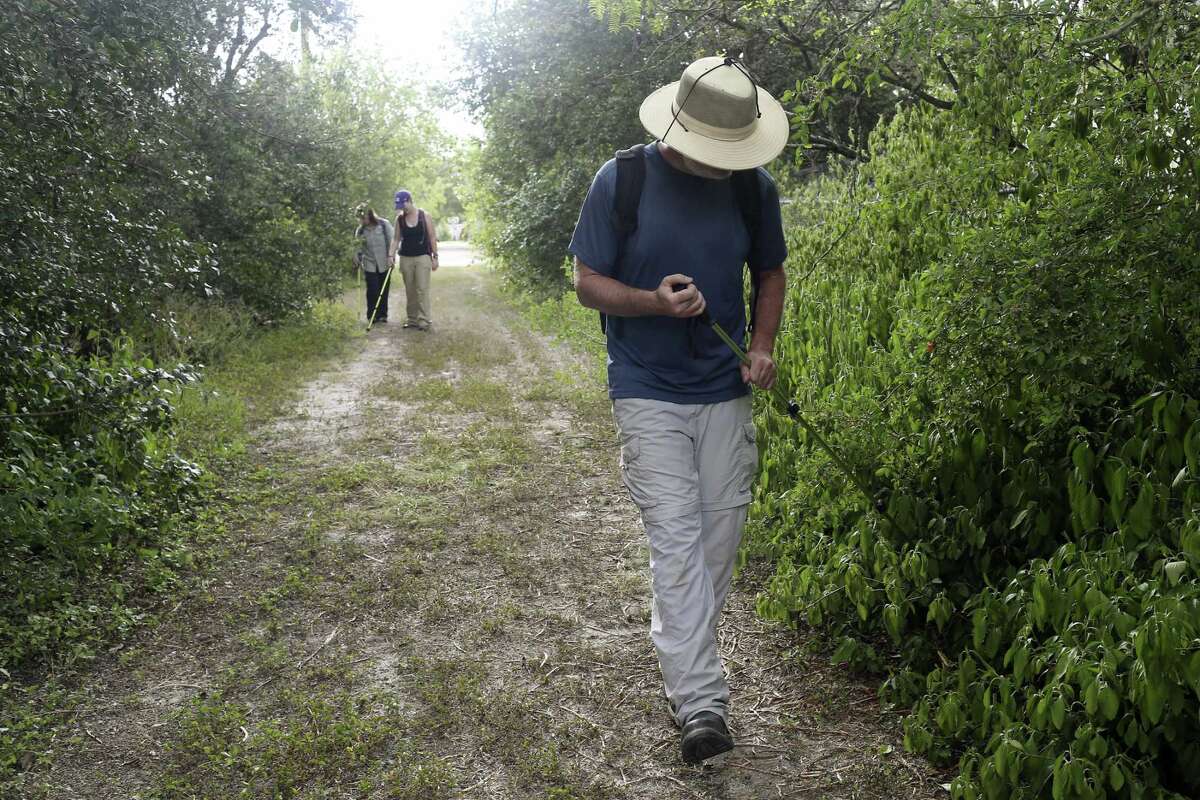 A troubling Texas mystery: Whatever became of the horny toads?