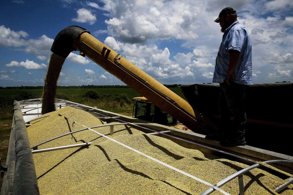 Texas rice farmers hope China deal brings more than a grain of relief