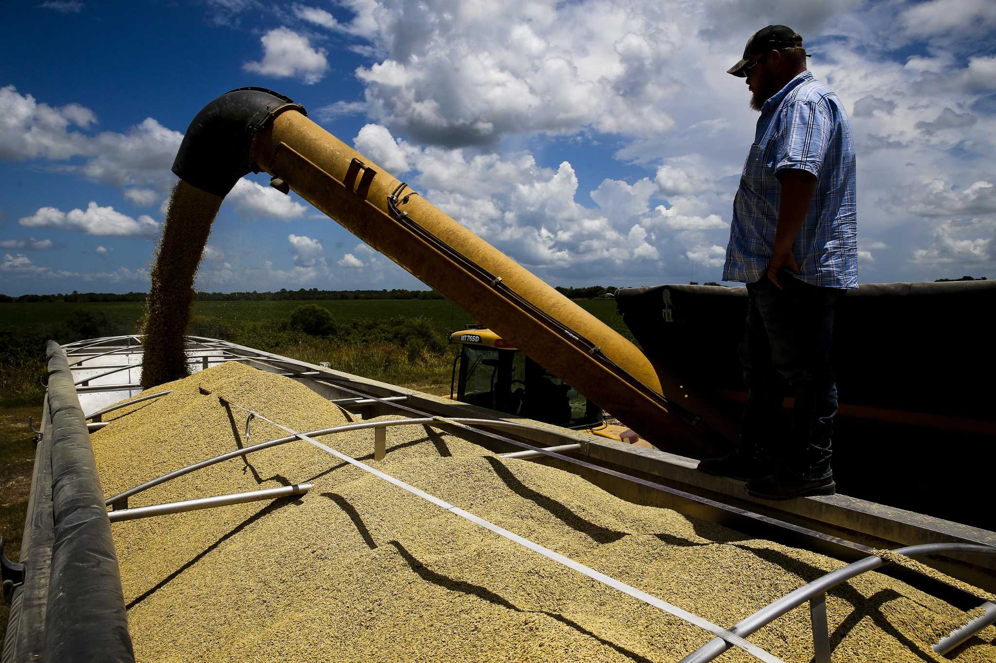 Texas rice farmers hope China deal brings more than a grain of relief