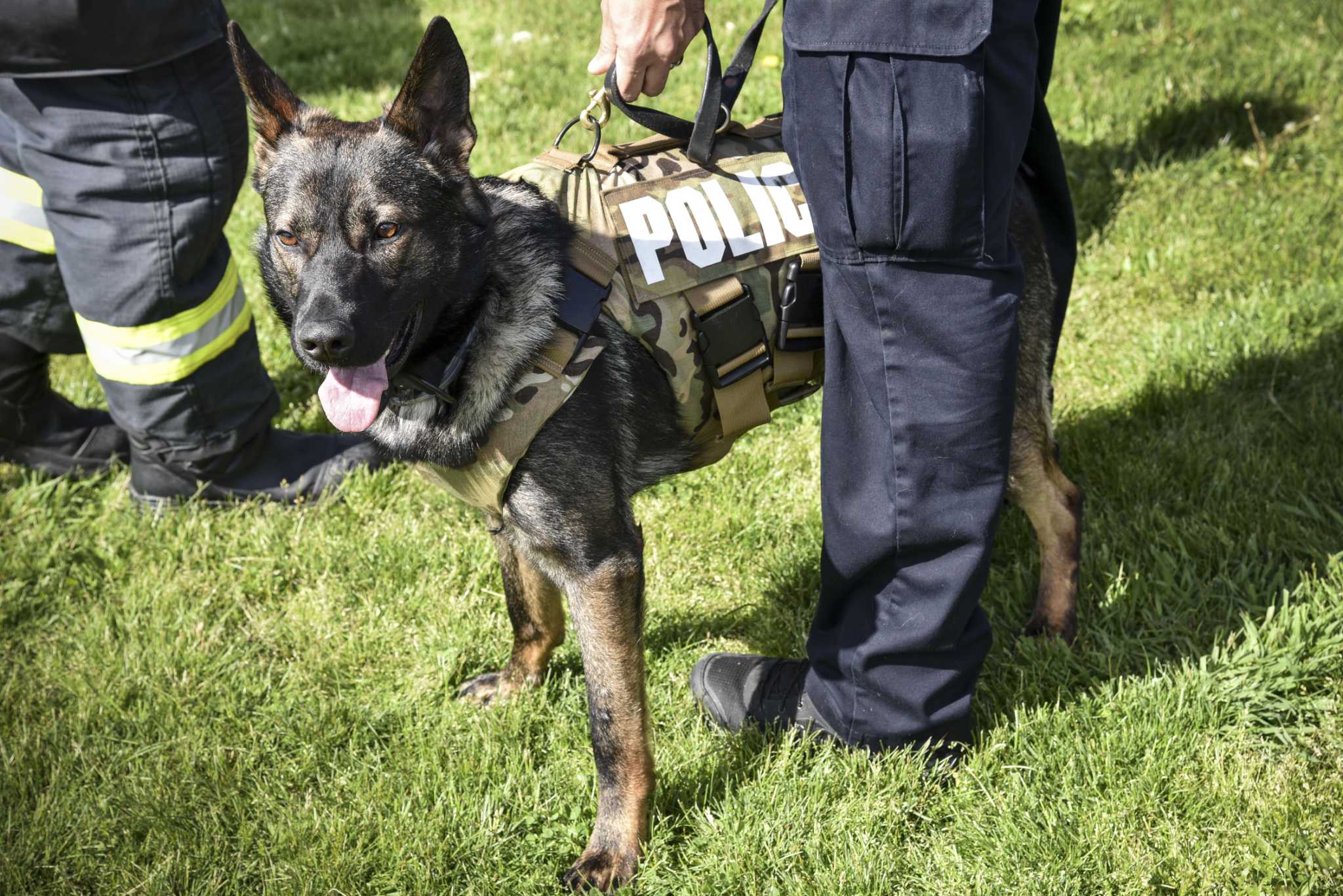 Stratford: Fundraiser to benefit SPD’s 3 police dogs