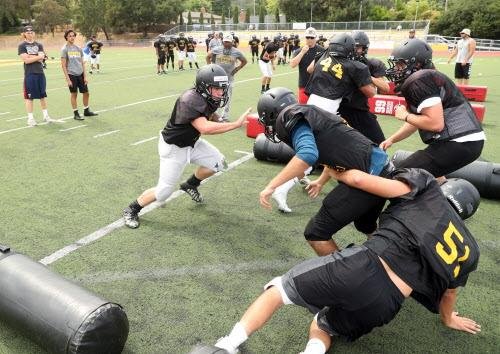 Novato will field varsity football team after late turnout