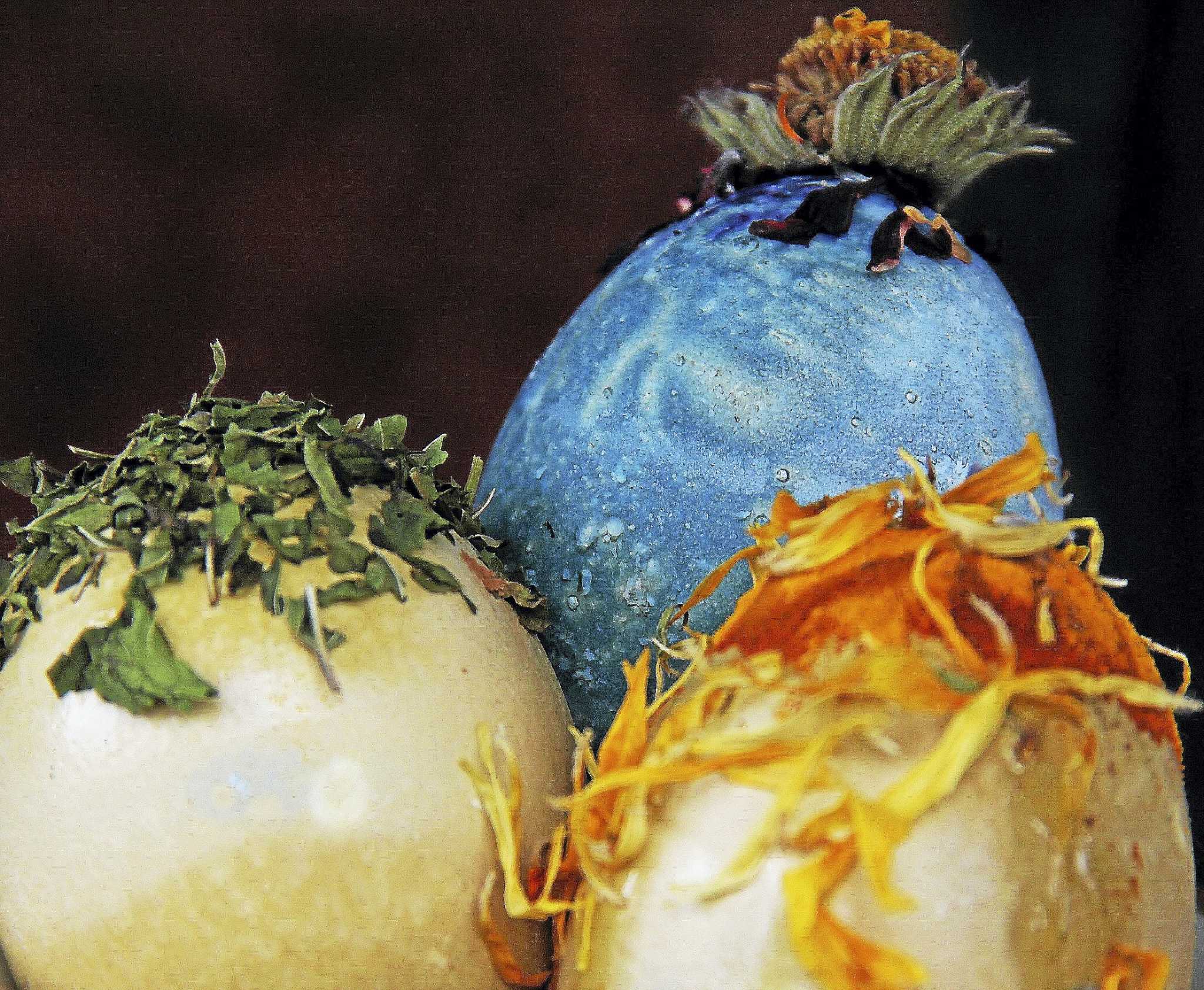 Egg-ceptional beauties