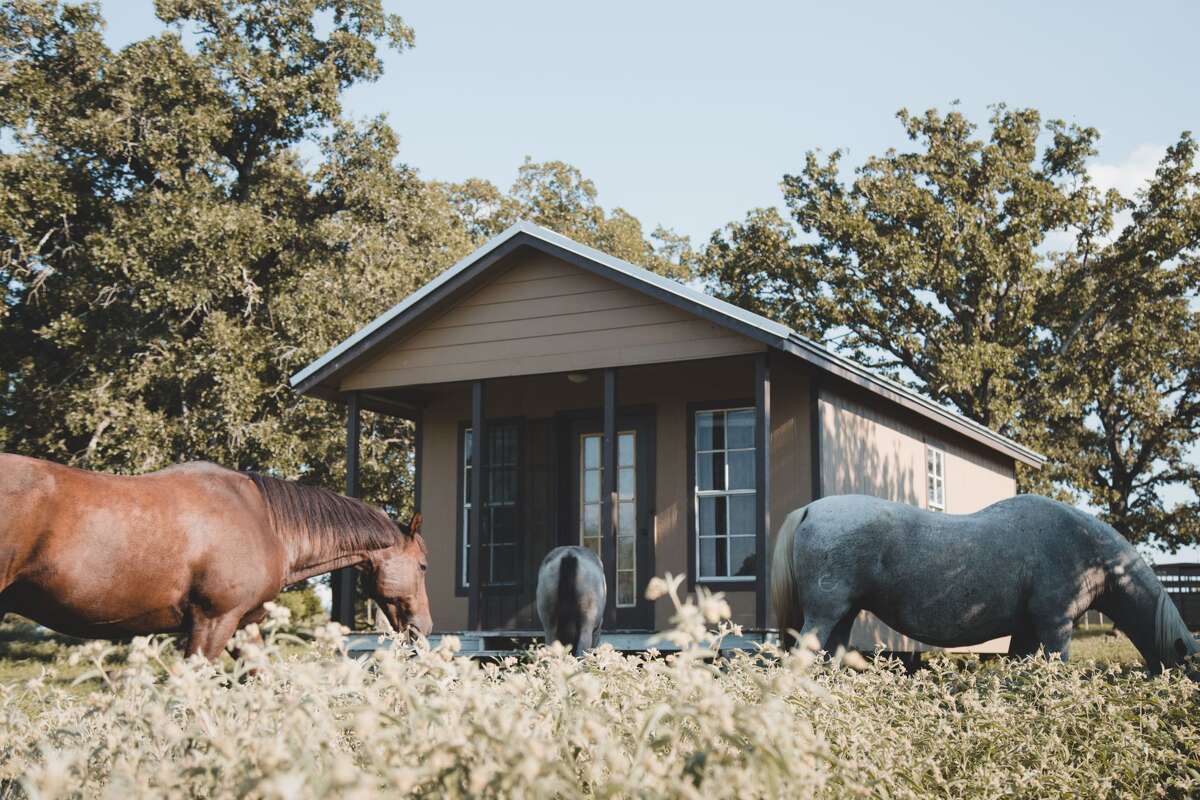 Get off-the-grid to Texas Hipcamps, the Airbnbs of the Great Outdoors