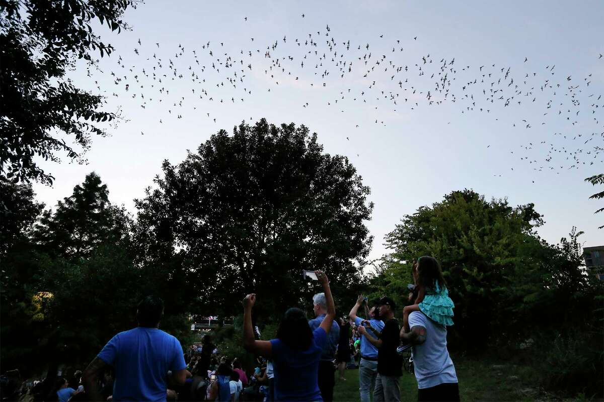 PHOTOS: 5th Annual Bat Loco Bash on Tuesday, Aug. 8, 2017