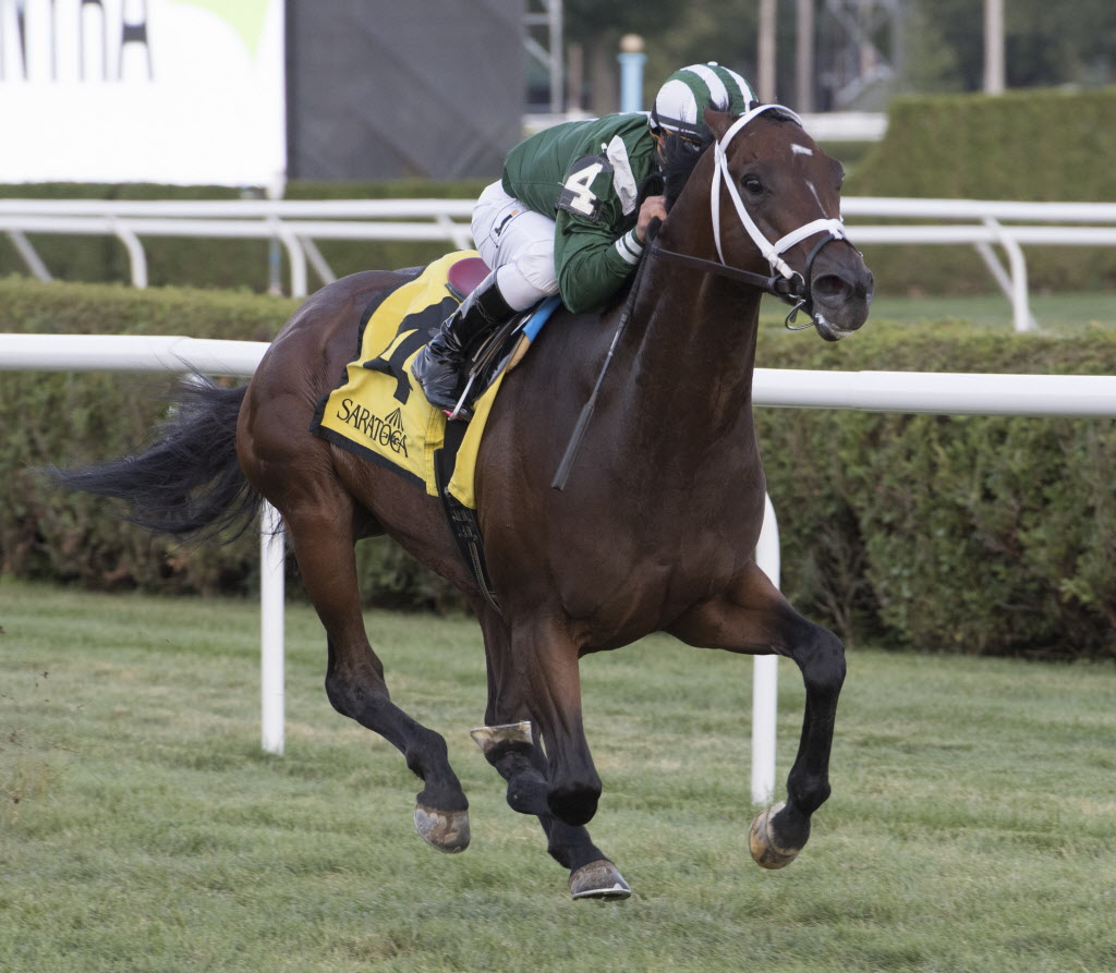 Churchill: What football and horse racing have in common